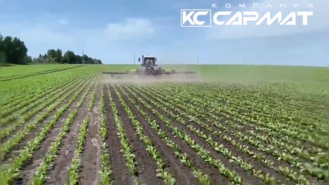 Мотыга МРН-11СК _Орикон_. Междурядная обработка всходов свёклы#производитель#мотыга#фермер#хозяйство