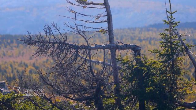 Южный Урал Природный парк Иремель