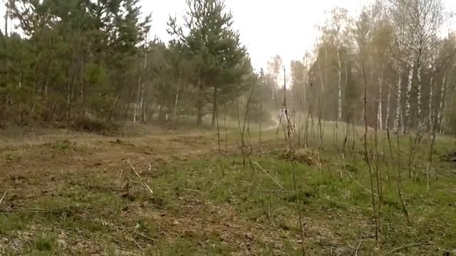 Лесная покатушка на старом Газ 31029 // Drift