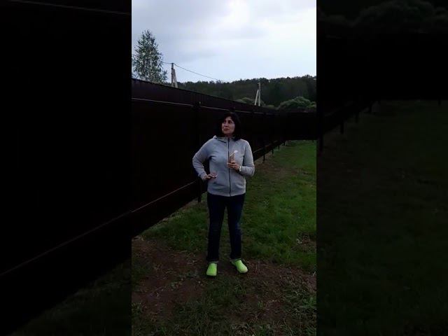 Отзыв клиента. Забор из профнастила