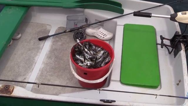 19.06.2015 ГИМС РЕЙД