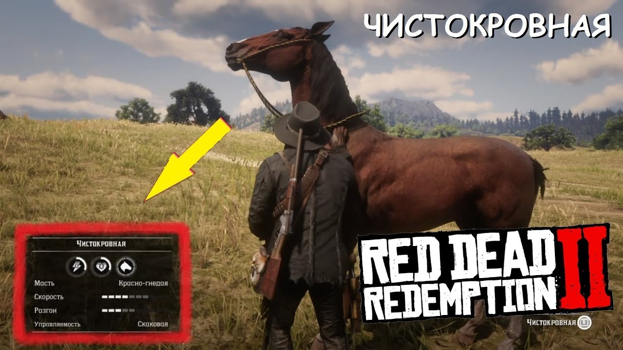 редкая лошадь в Red Dead Redemption 2