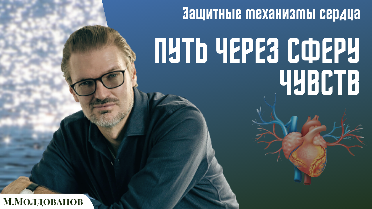 Сфера чувств