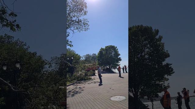 Электровыходные#5Севастополь