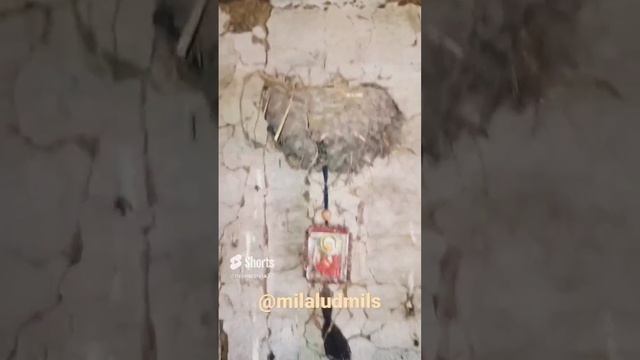 ласточка свила гнездо на иконке??.mp4