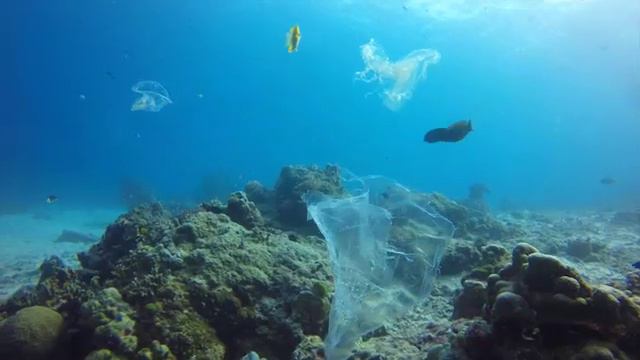 beehive6-culture-video-unit-6