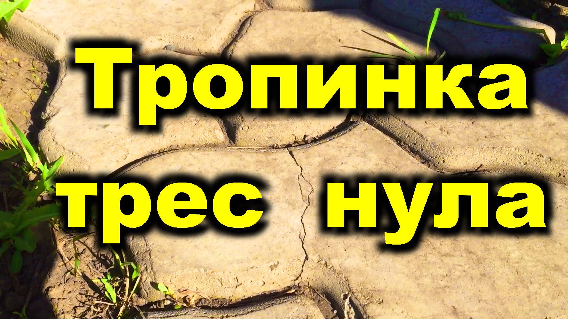 Садовая дорожка через год