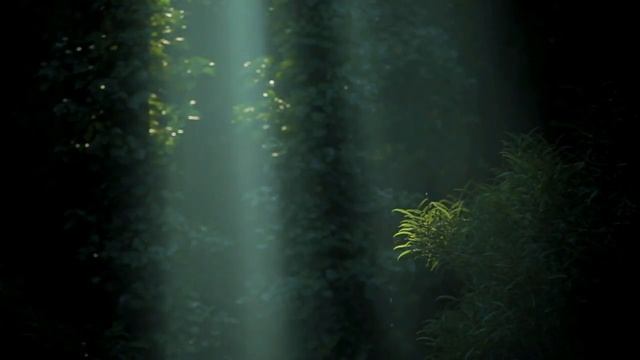 ГАВИ.ОЧИСТКА ДОМА, ВЕЩЕЙ, АУРЫ ОТ НЕГАТИВНОЙ ЭНЕРГИИ. ВЕДЫ.