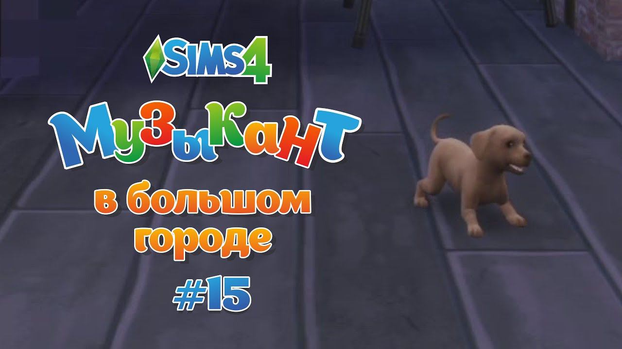 МУЗЫКАНТ. #15 ВЕРНЫЙ ДРУГ В ПОДАРОК