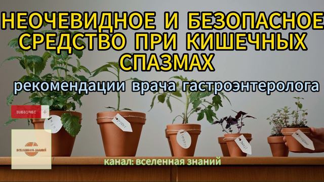 НЕОЧЕВИДНОЕ И БЕЗОПАСНОЕ СРЕДСТВО ПРИ КИШЕЧНЫХ СПАЗМАХ. Рекомендации врача гастроэнтеролога.