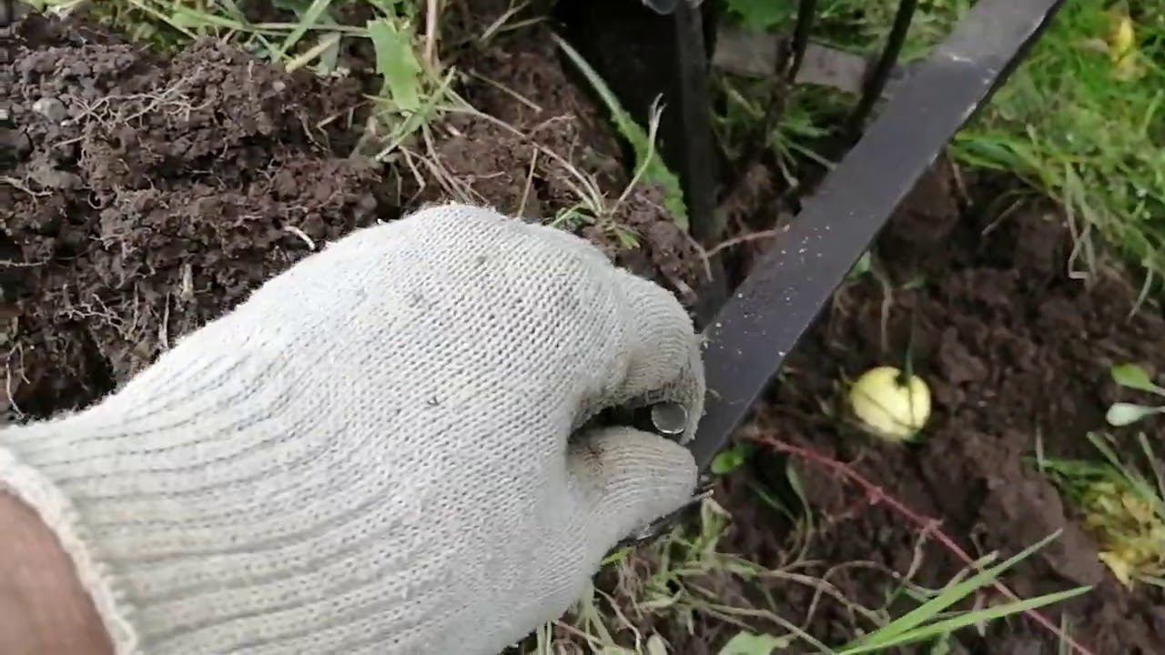 А все таки мы её достанём!