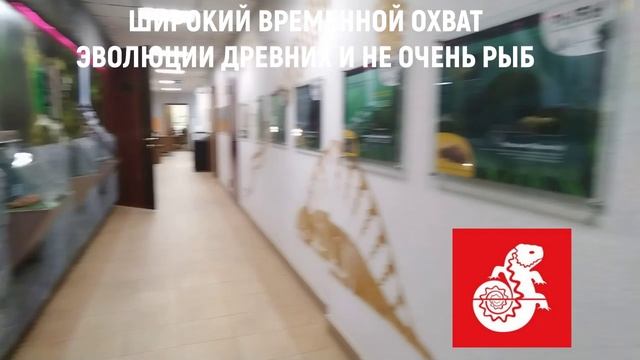 Выставка "Рыбы - повелители древних морей. От кембрия и девона до современности"