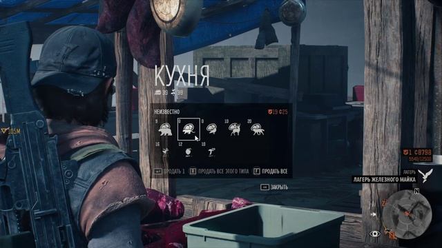 Days Gone 9