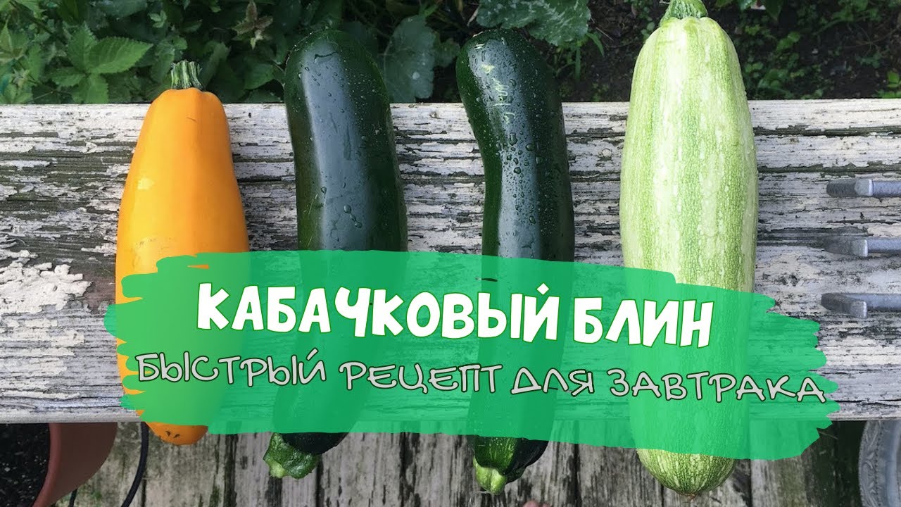 Кабачковые низкоуглеводные блины для всех стройнеющих! Быстро, подойдет для любого приема пищи.