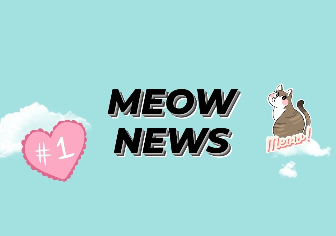 Новости выпуск1.mp4