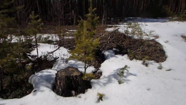 Вспомогательные способы ориентирования. Часть 17