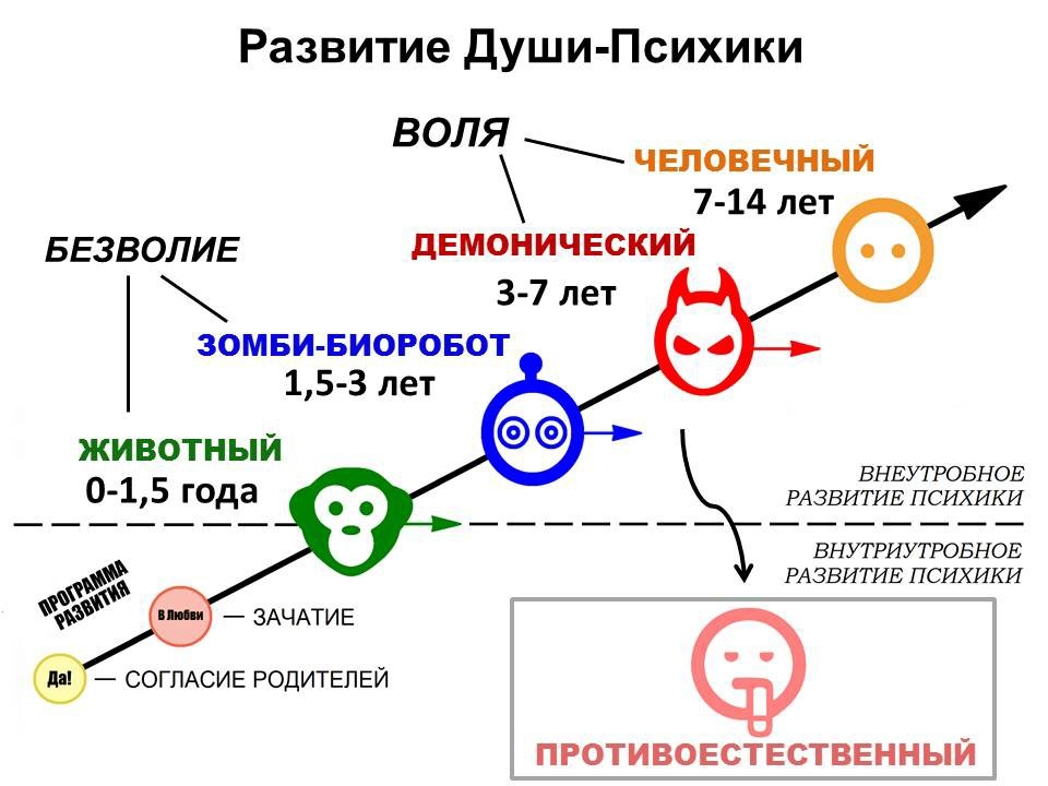 Типове строй психика (HD).mp4