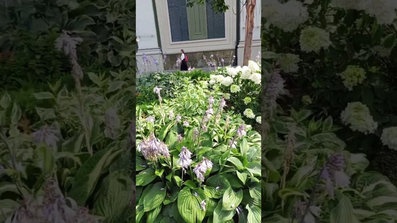 Екатеринбург 31 июля 2023 год.