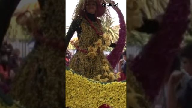 Карнавал Цветов -конкурс флористов в Италии Сан-Ремо 2012 часть 4.
короткое.