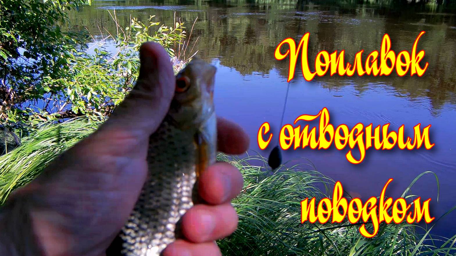 Поплавок с отводным поводком