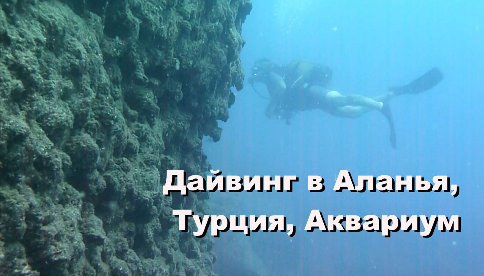 Дайвинг в Аланья, Турция. Аквариум.  Scuba diving in Alanya, Turkey. Aquarium.