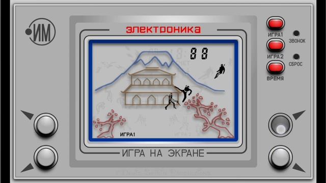 Электроника ИМ _Ниндзя