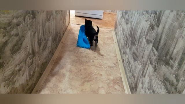 Мытьё полов от Джея