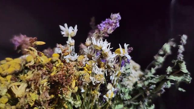 Выбираем травы. Anastatica #anastaticaru