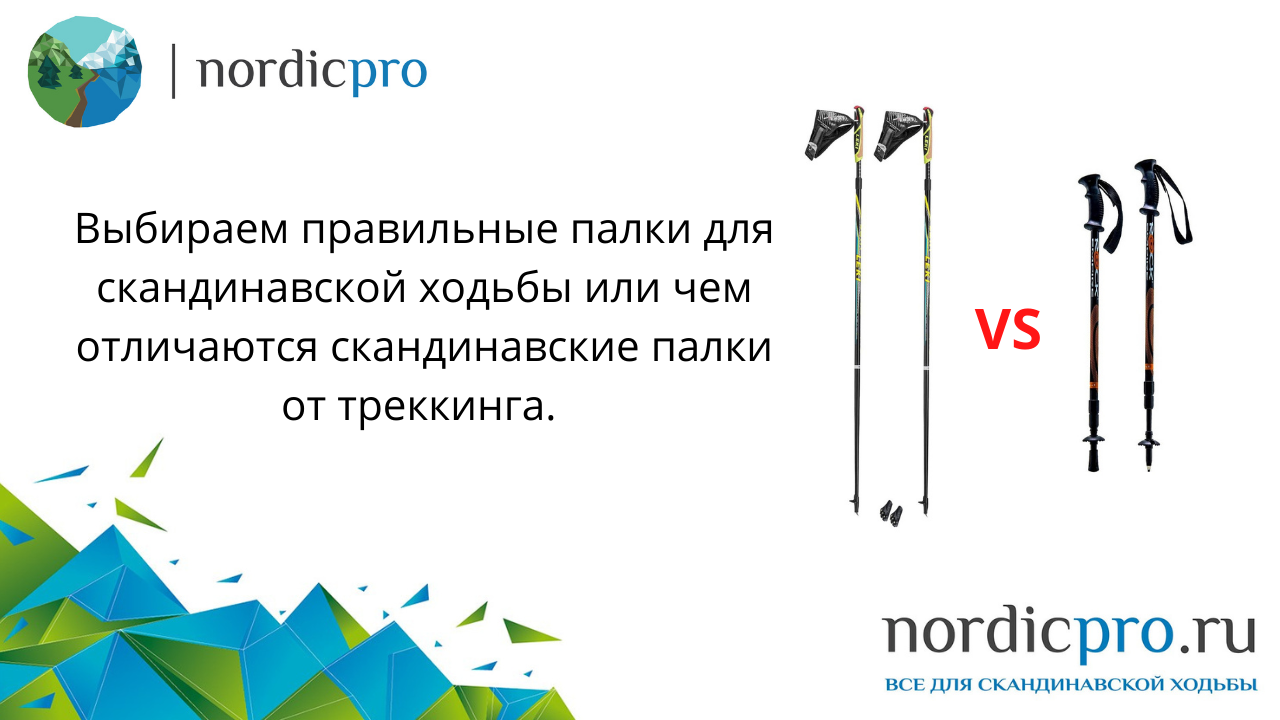 Палки для скандинавской ходьбы, как выбрать правильные и отличия скандинавских палок от треккинга