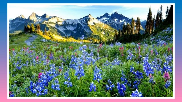 Жалюзи. Стиль.mp4