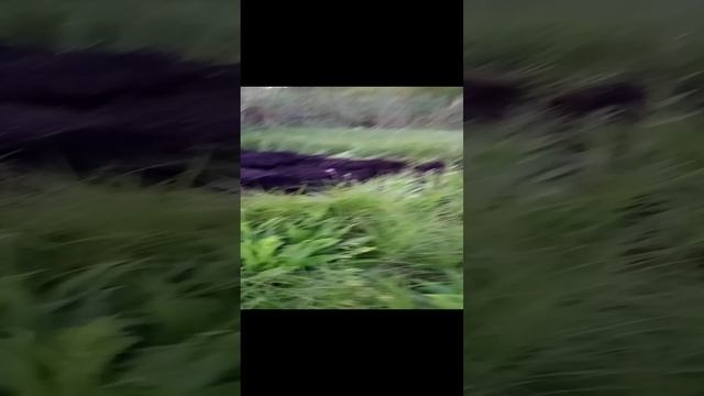 Упала ракета.mp4