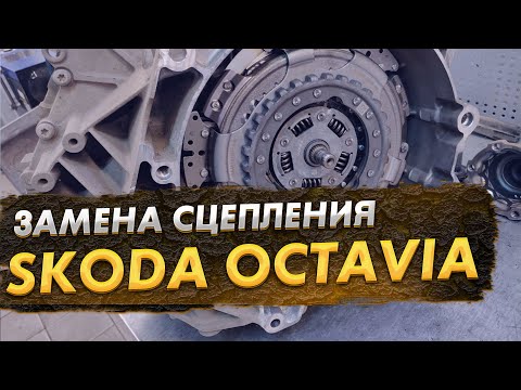 Шкода Октавия пробуксовка сцепления