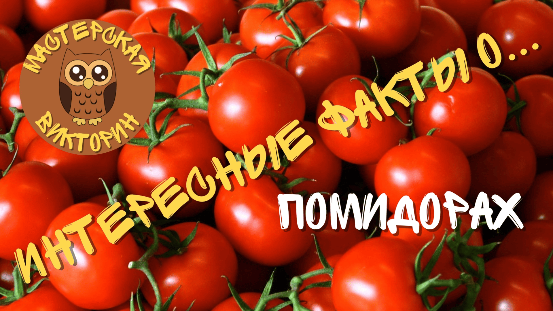 Интересные факты о помидорах