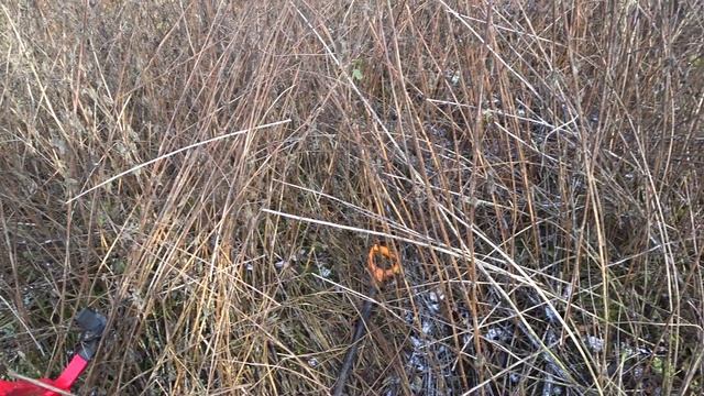 Добил совхоз. Сдал весь свой схрон. Коп металлолома. Заработок на арматуре.