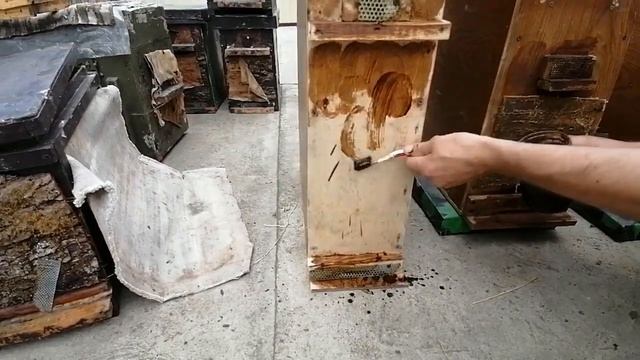 Обработка и комплектация ловушек перед установкой.Как поймать рой пчёл.