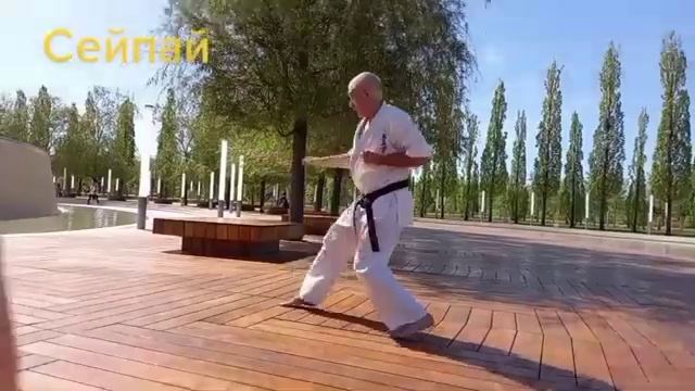 Ката Сейпай