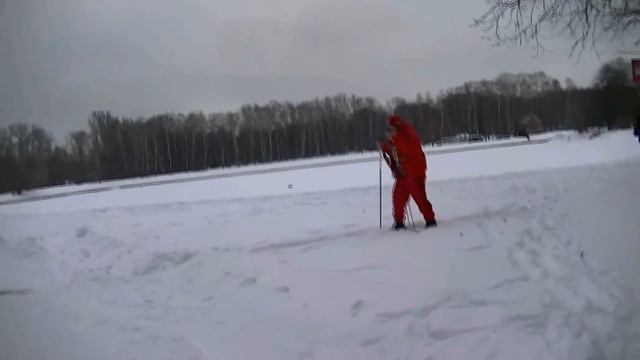 Прогулка в зимнем парке Кусково 2017