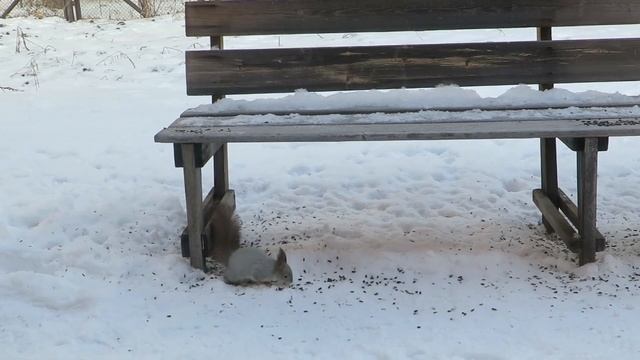 Когда отправили охранять базу. ⚔ In The Army Now. ??