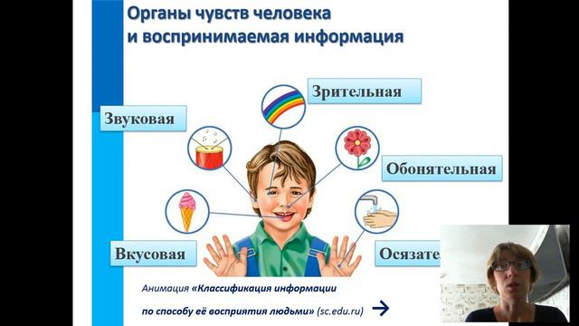1 урок 5 класс