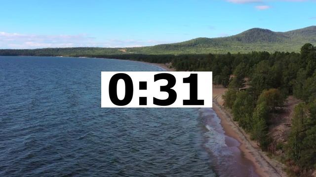 ECOLOGY AND ENVIRONMENT (Тренажер ЕГЭ)