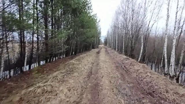 Приберём наш лес(планету) от мусора