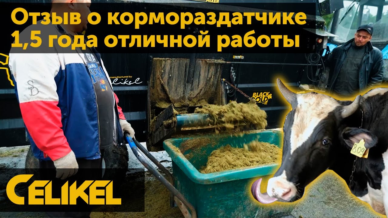 Отзыв фермера после полутора лет работы. Кормораздатчик Celikel Brassus H10.