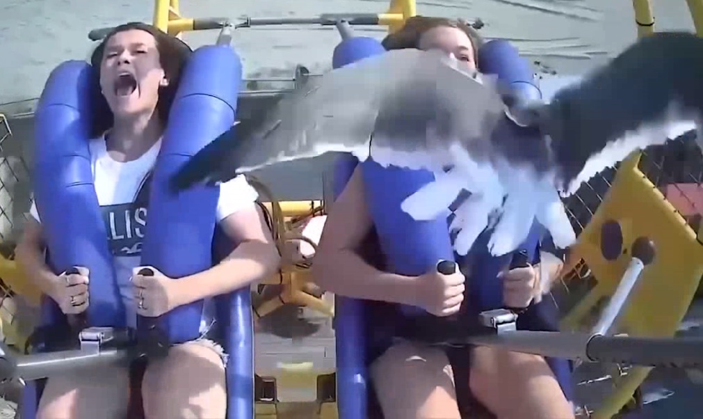 Смешные приколы Февраль 2023 #134