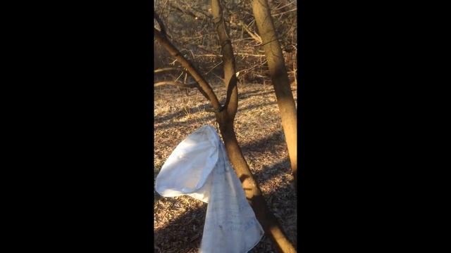 #Наркоманы разбили тачку БМВ  #147 Орехово-Зуево.mp4