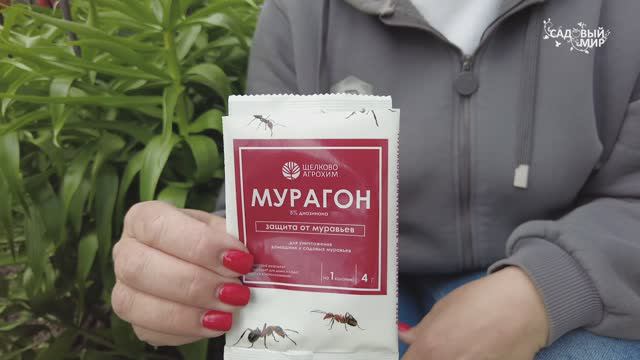 С этим нашествия клещей и муравьёв не страшны