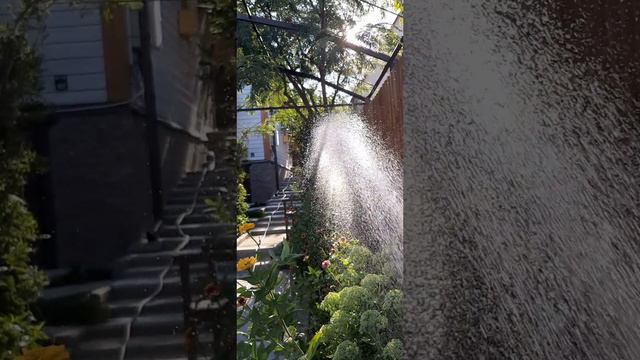 Лееетооо и ИД (искусственный дождь)