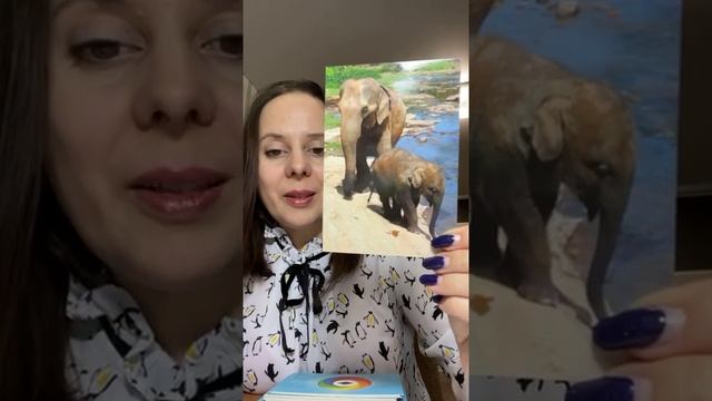 Как стать счастливой и богатой с помощью метафорических.