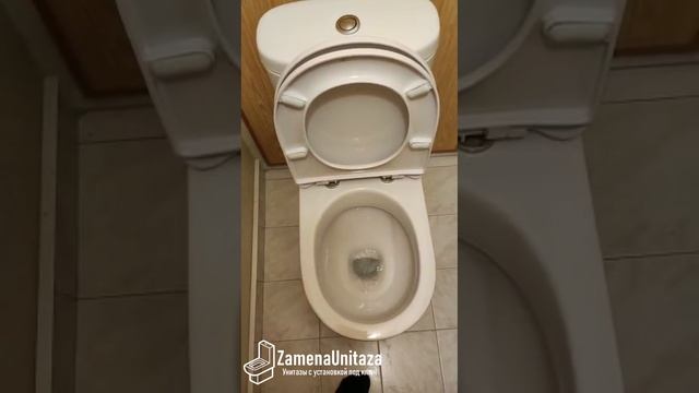 Тест смыва унитаза Sanita Luxe Art SL DM Горизонтальный Выпуск от ZamenaUnitaza