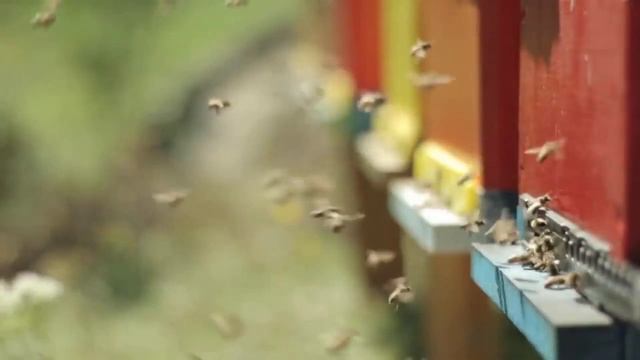 (5G)  Revelation and Apocalypse _ Part 1_1080p.mp4