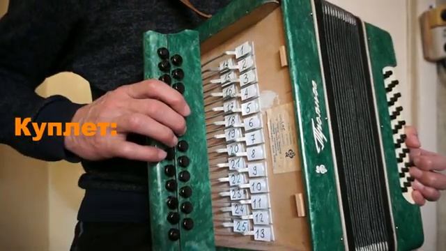 Вологда, разбор на гармони №-13 с цифрами